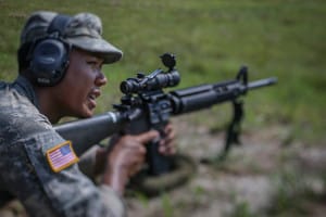 What Does the Constitution Do?