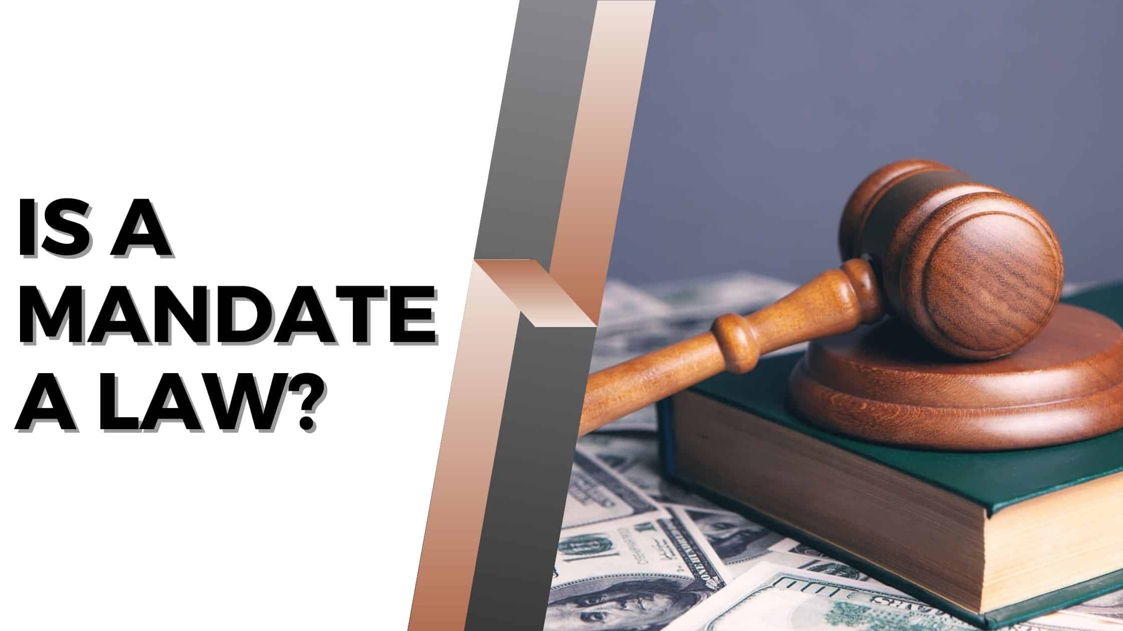 What Is Statutory Law?