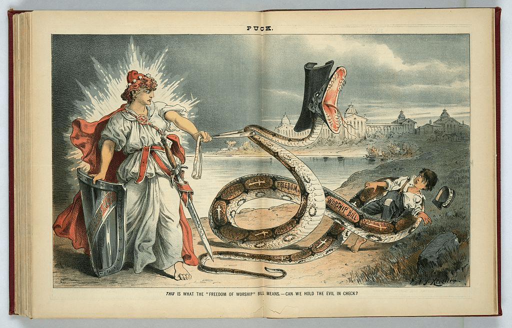 What Is Selective Incorporation?