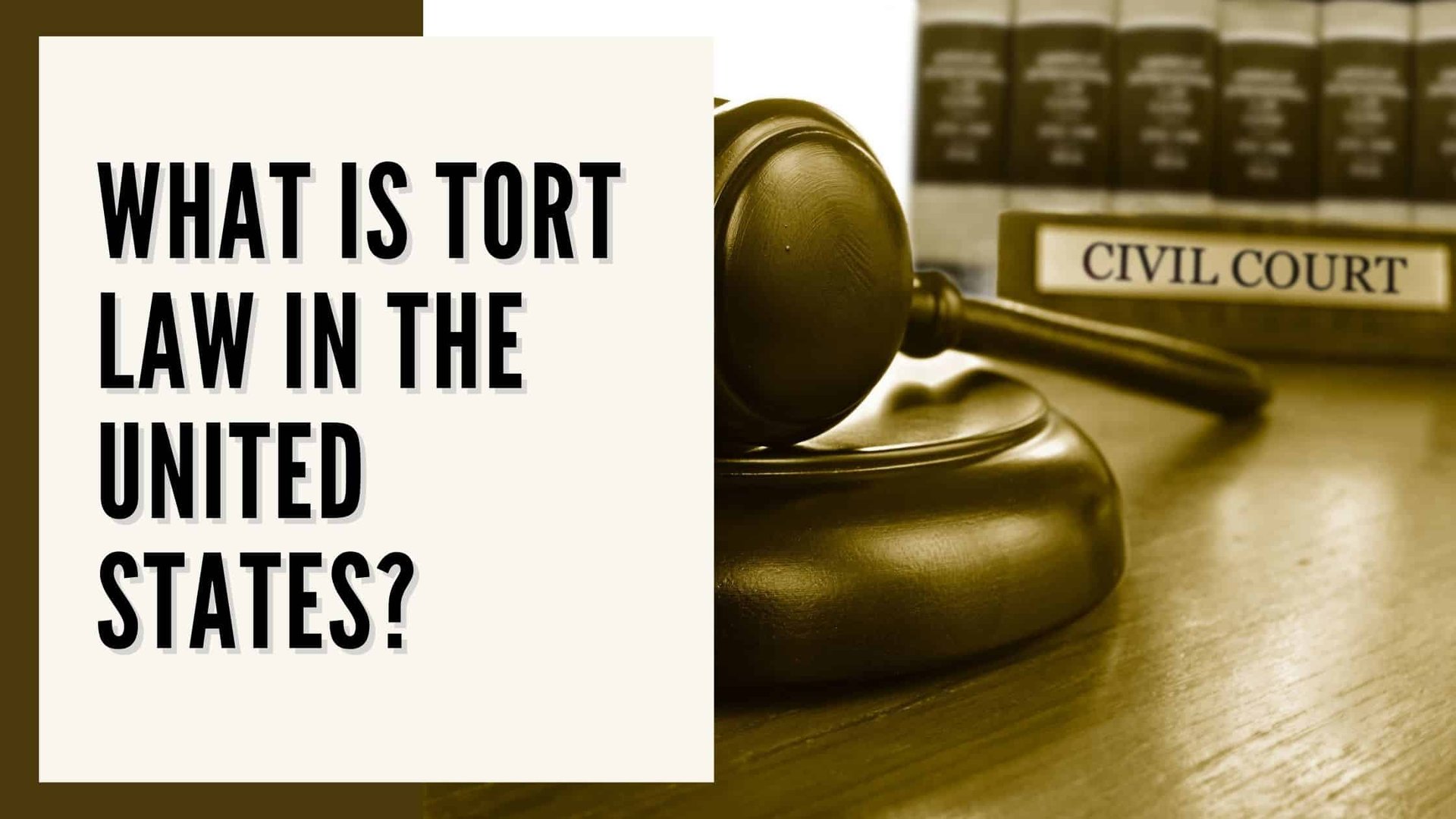 What Is Tort Law with Examples