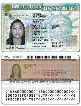 What Does A Green Card Look Like?