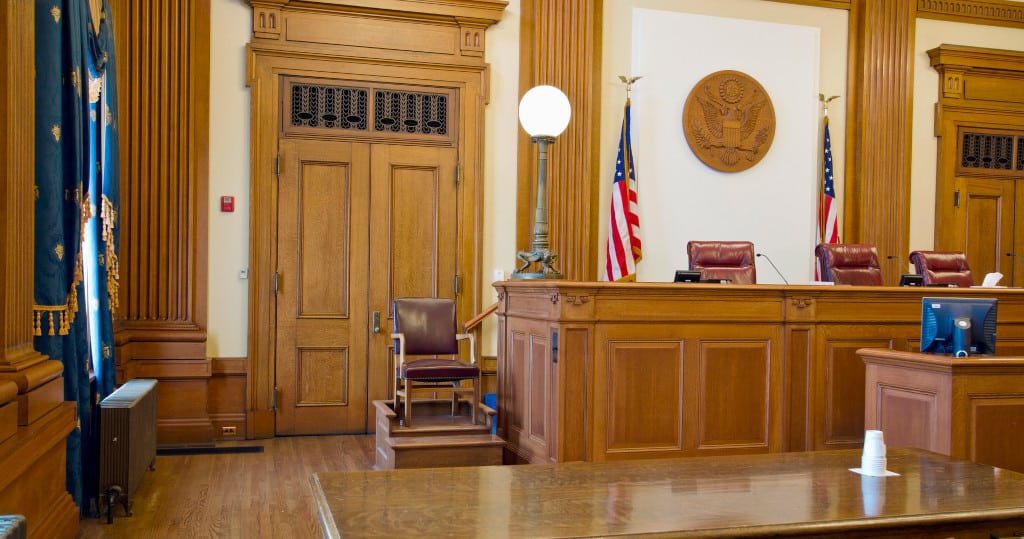 What Is an Adjudicator?