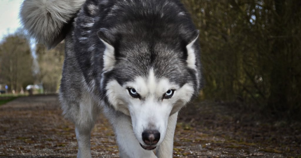 What Is Tort Law with Examples