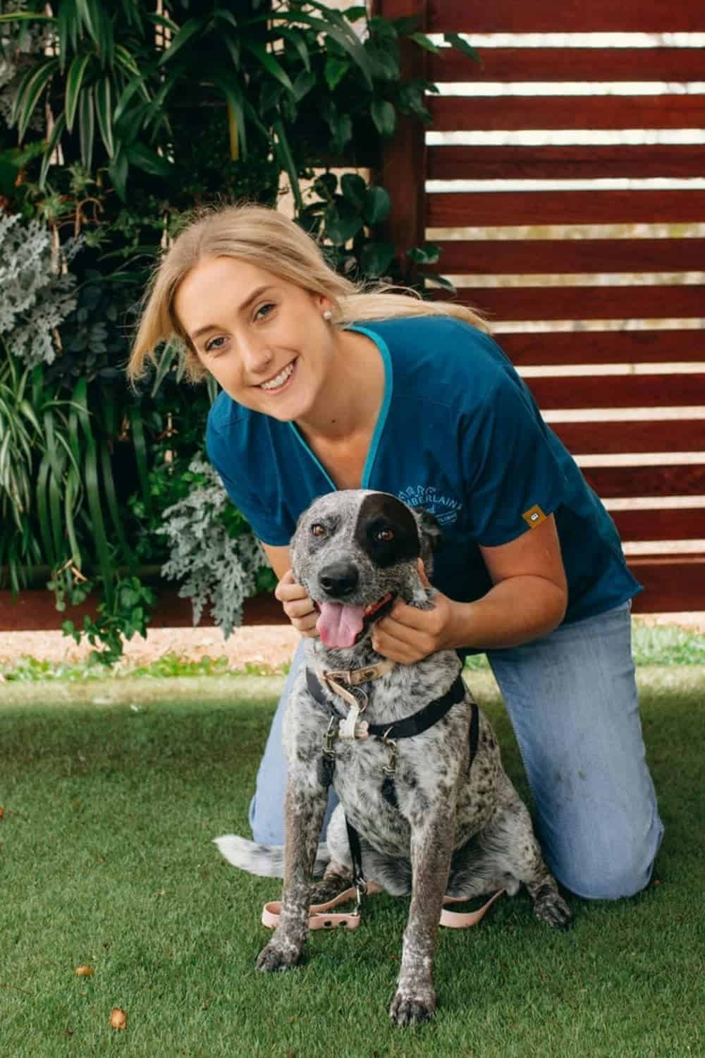 About Chamberlain Road Vet: Vets for All Your Pets