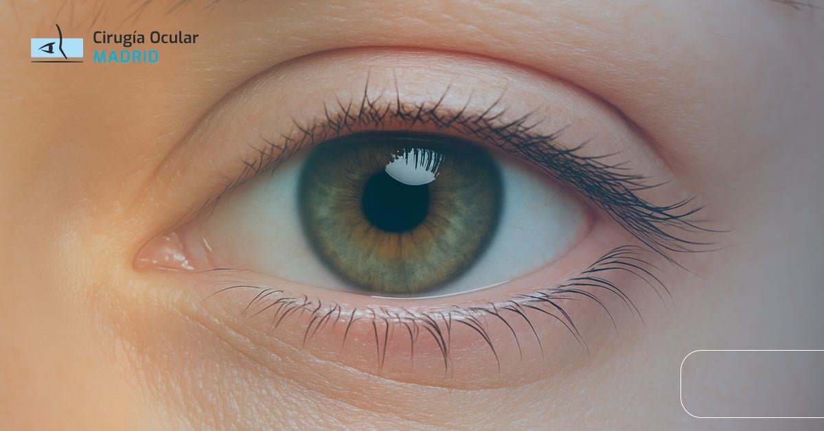 Cuerpo Ciliar: Anatomía, Funciones y Patologías