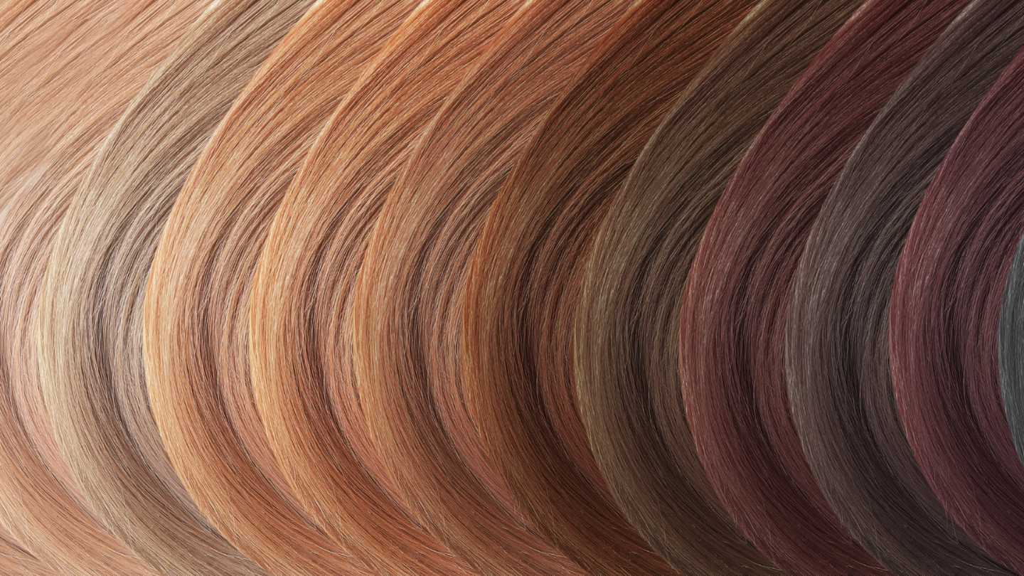 The Hair Colour Wheel: Understanding Hair