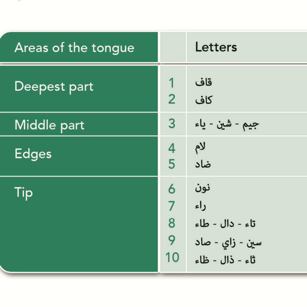 Makharij al Huruf: Points of Articulation - Alimaan Online Quran ...