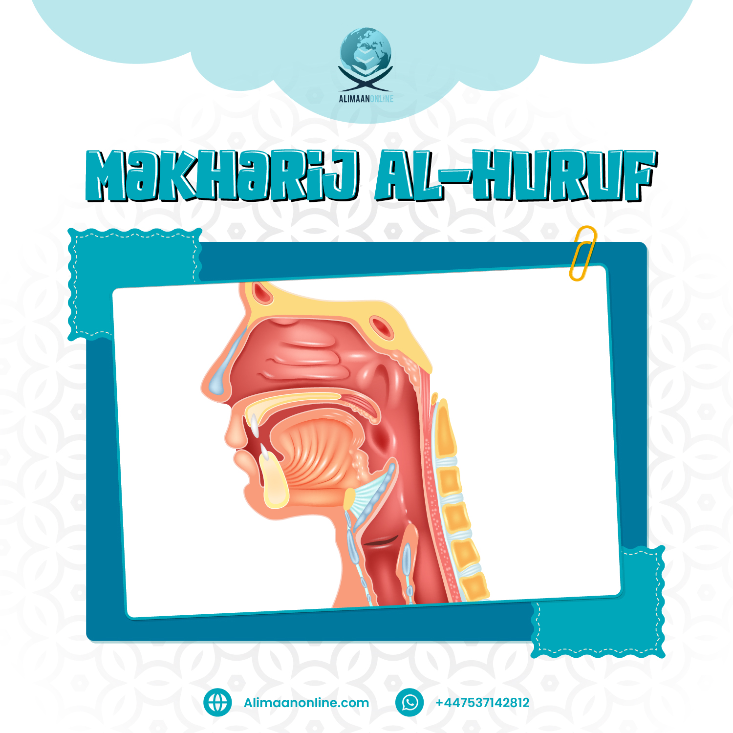 Makharij al Huruf: Points of Articulation - Alimaan Online Quran ...