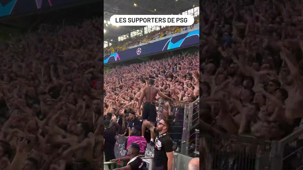 Allez racing ! - Actualités et vidéos du Racing Club de Strasbourg