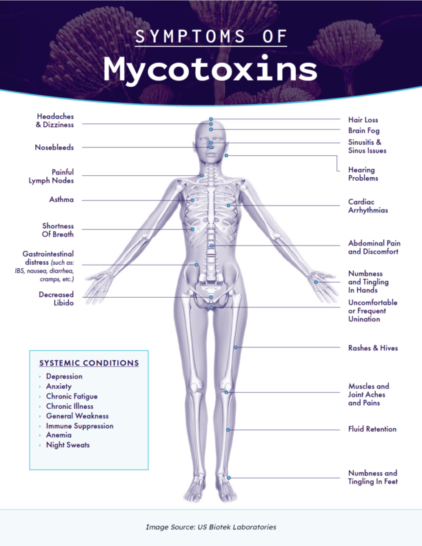 Mycotoxins in Your Home: What They Are & How to Test For Them