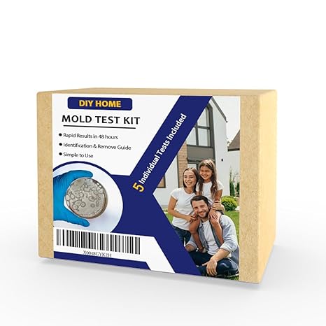 DIY Mold Detection Kits vs. Professional Mold Testing