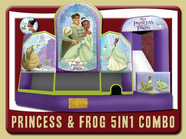 Princess Frog Bounce House Slide Combo - BOUNCE PARTY RENTALS