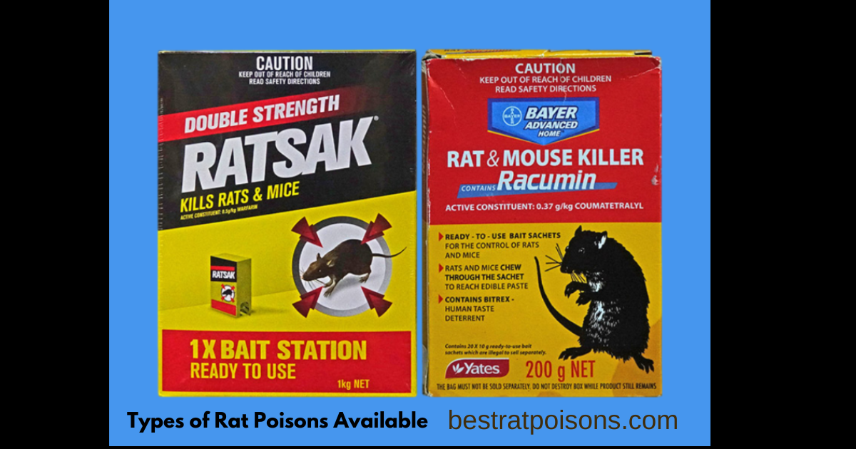 Dog-friendly Rat Poison: How To Choose The Right One - Best Rat Poisons