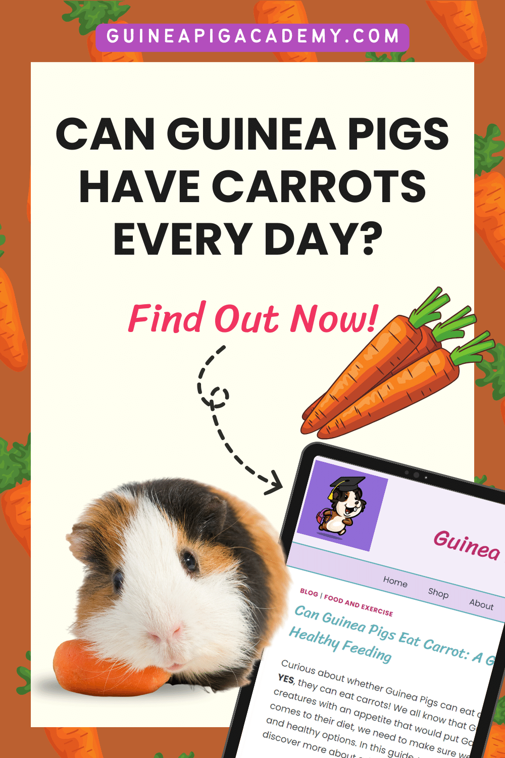 Can Guinea Pigs Eat Carrot: A Guide to Safe and Healthy Feeding ...