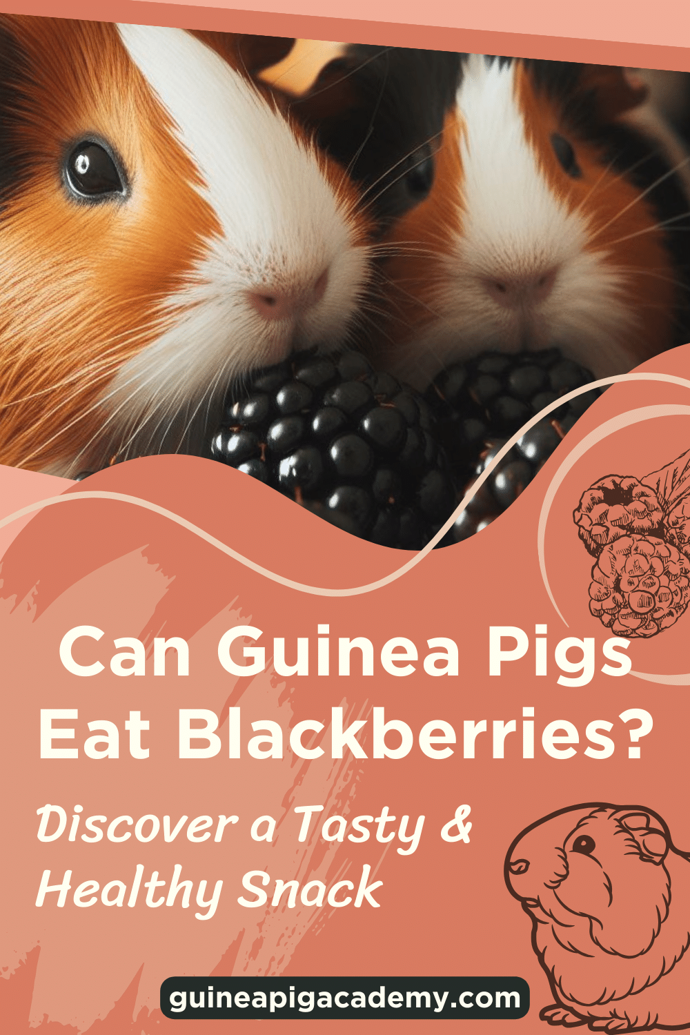 Can Guinea Pigs Eat Blackberries: Discover a Tasty Healthy Snack - Guinea Pig Academy