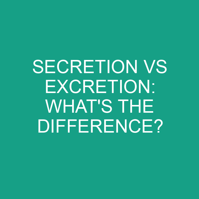 Secretion Vs Excretion: What's The Difference? » Differencess Secretion Vs Excretion: What's The Difference? » Differencess