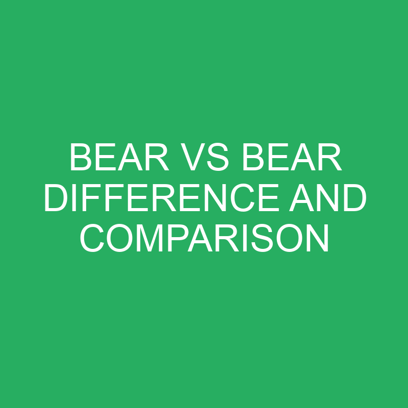 Bear Vs Bear Difference And Comparison » Differencess