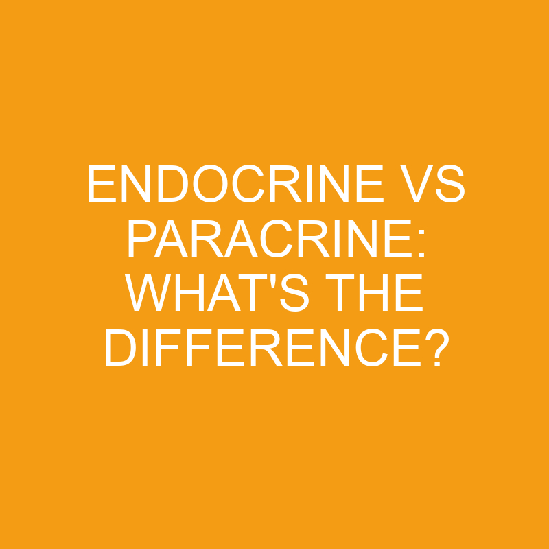 Endocrine Vs Paracrine: What's The Difference? » Differencess