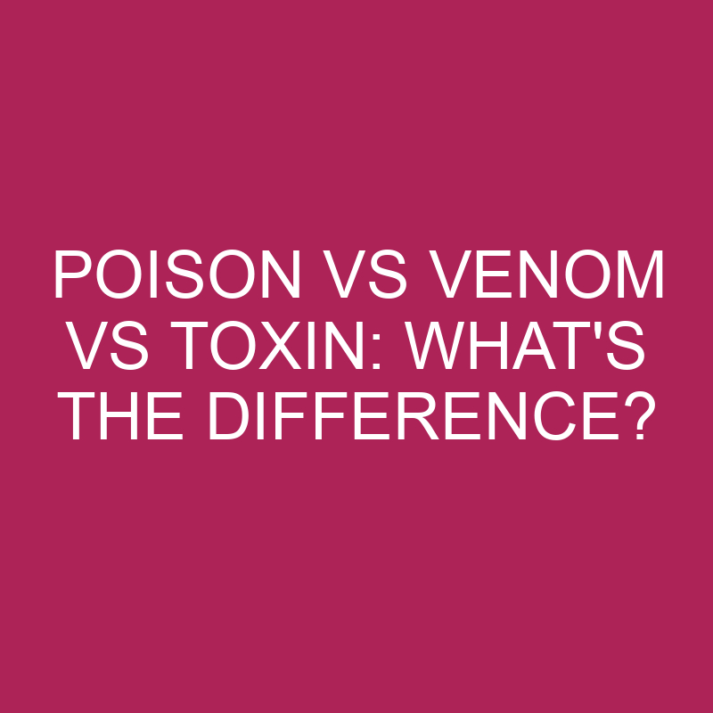 Poison Vs Venom Vs Toxin: What's The Difference? » Differencess