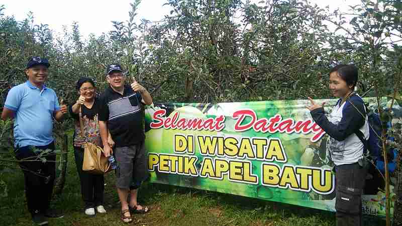 Serunya Wisata Petik Apel Malang, Harga Tiket & Lokasi