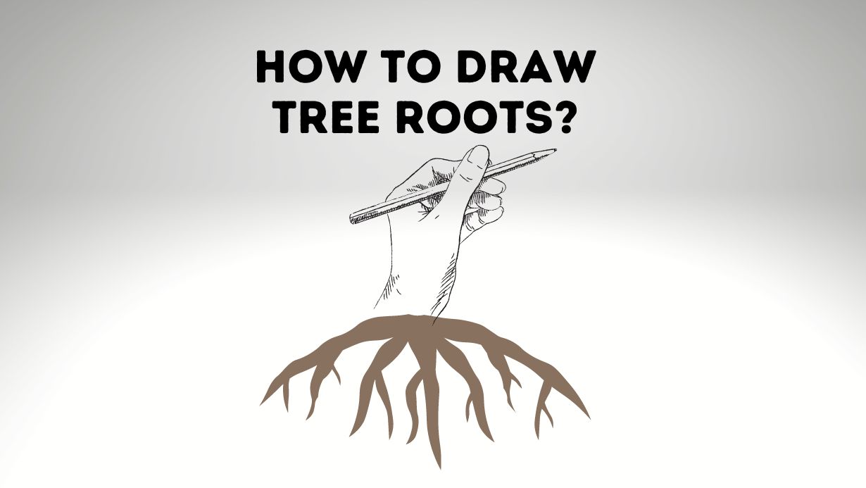 How To Draw Tree Roots for Beginners and Kids - Everything Arboriculture