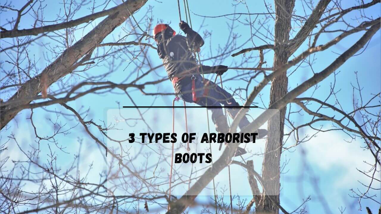5 Best Arborist Boots: Working, Climbing & Chainsaw Boots - Everything ...