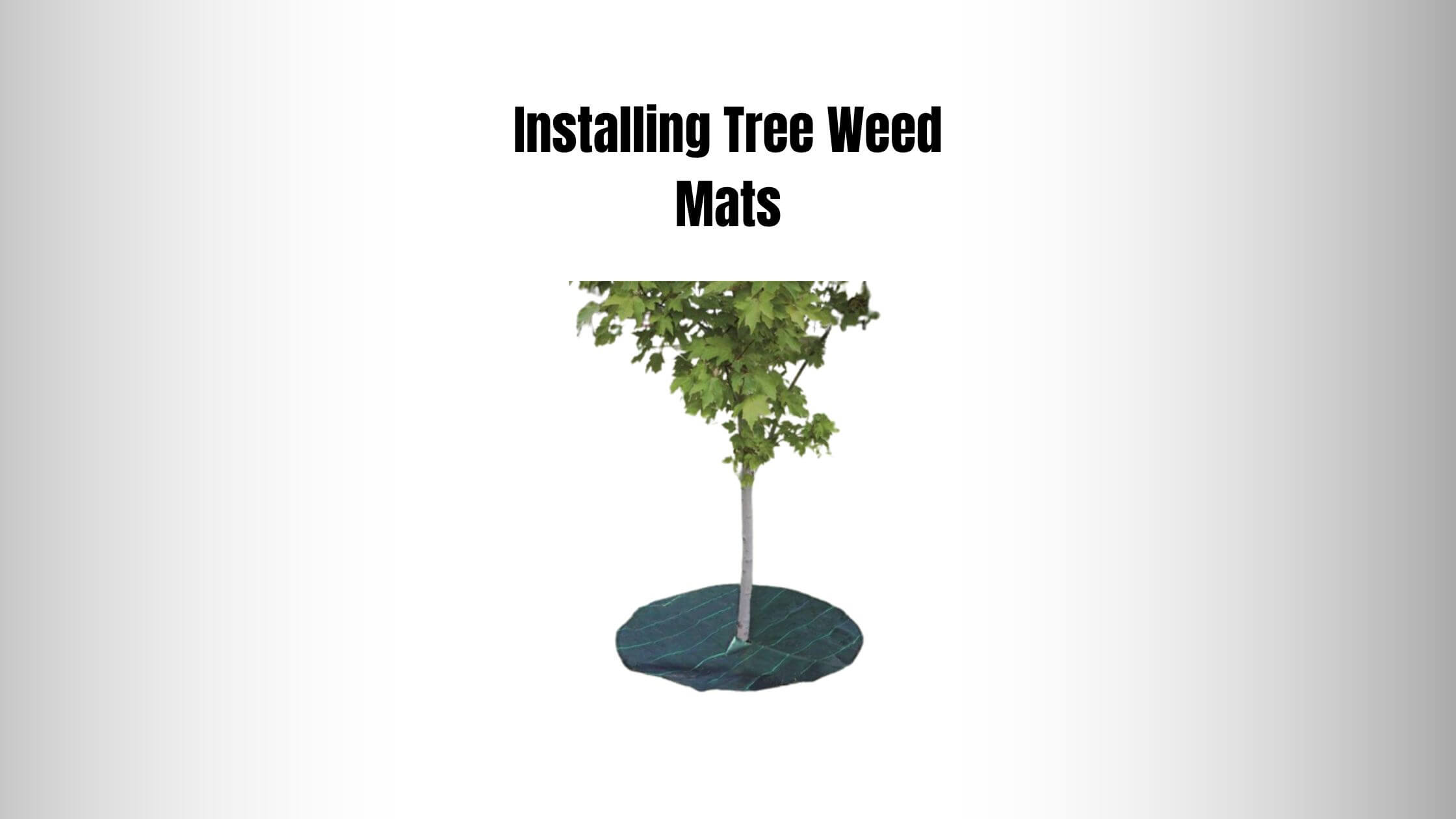 Installing Tree Weed Mats: 3 Pros & Cons Of Using One! - Everything ...