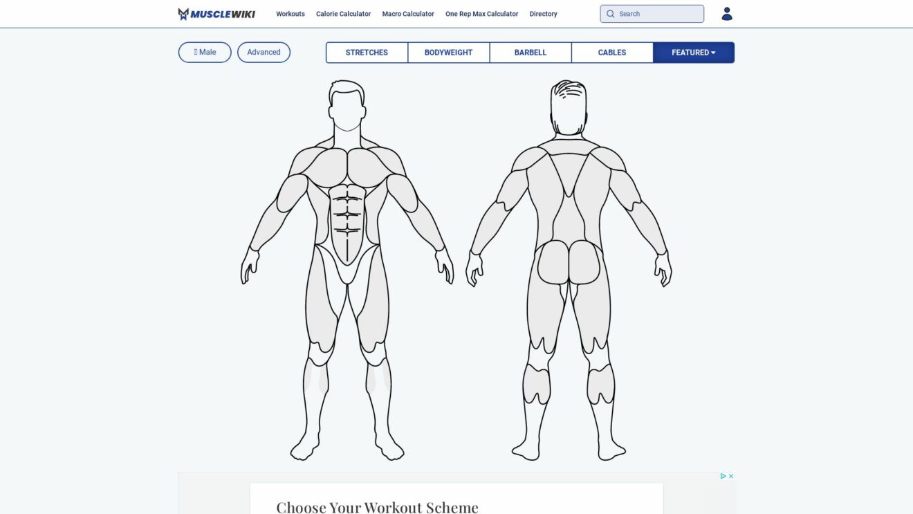 MuscleWiki | Simplify Your Exercise Routine | Futureen