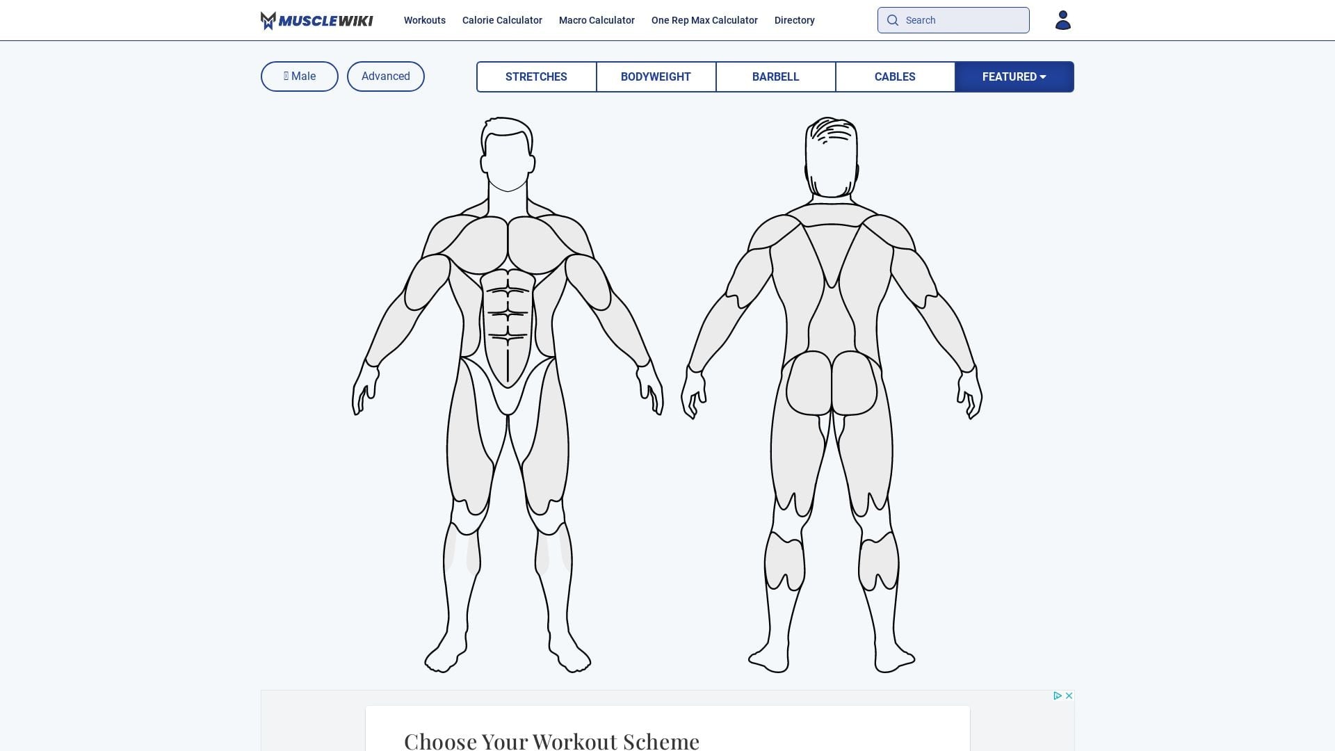 MuscleWiki | Simplify Your Exercise Routine | Futureen