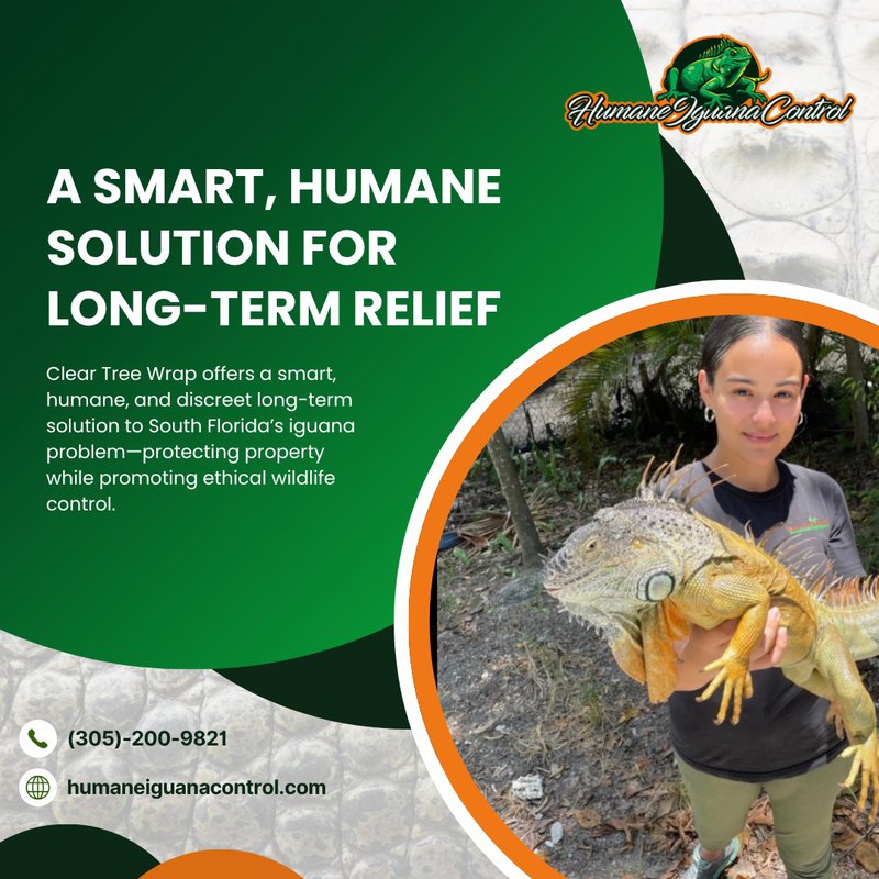 Using Clear Tree Wrap That Helps Protect From Iguanas