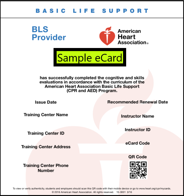 Group CPR Class San Diego | Private CPR Class San Diego | Group ...