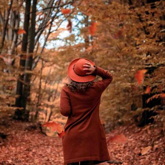 Canada Express Entry System | ImmigCanada