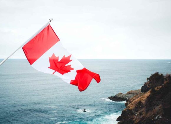 An Introduction to CICC, RCIC, and CAPIC | ImmigCanada