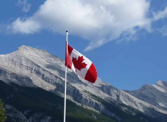 An Introduction to CICC, RCIC, and CAPIC | ImmigCanada