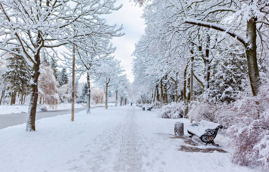 Ultimate List Of Over 80 Christmas Anagrams With Answers - Insequiral