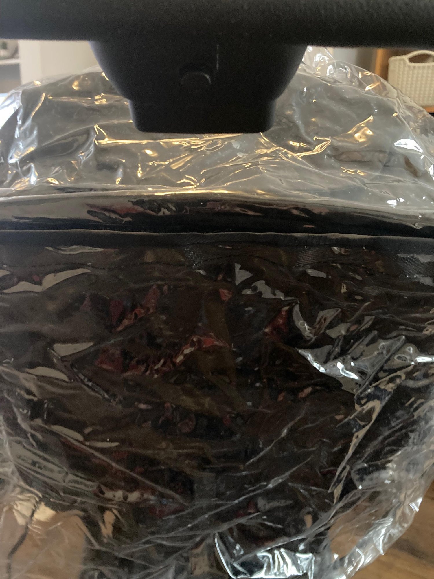 Zummi Eden Stroller Review (including Rain Cover Instructions) - Insequiral