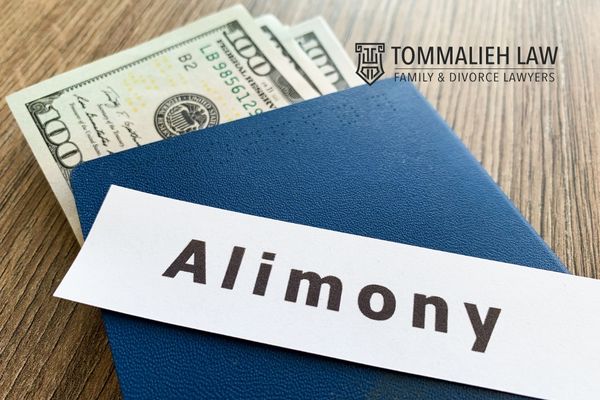 Processes Of Alimony In Illinois | Tommalieh Law