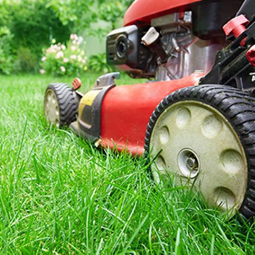 Riding or Push Mower Buyer's Guide - Owenhouse Ace Hardware