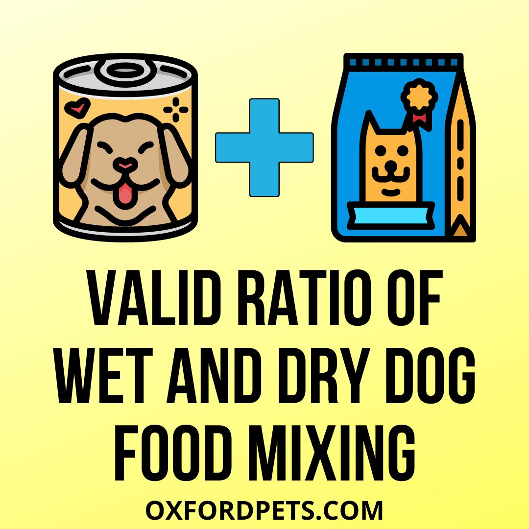 Mixing Wet and Dry Dog Food: The Correct Ratio - Oxford Pets