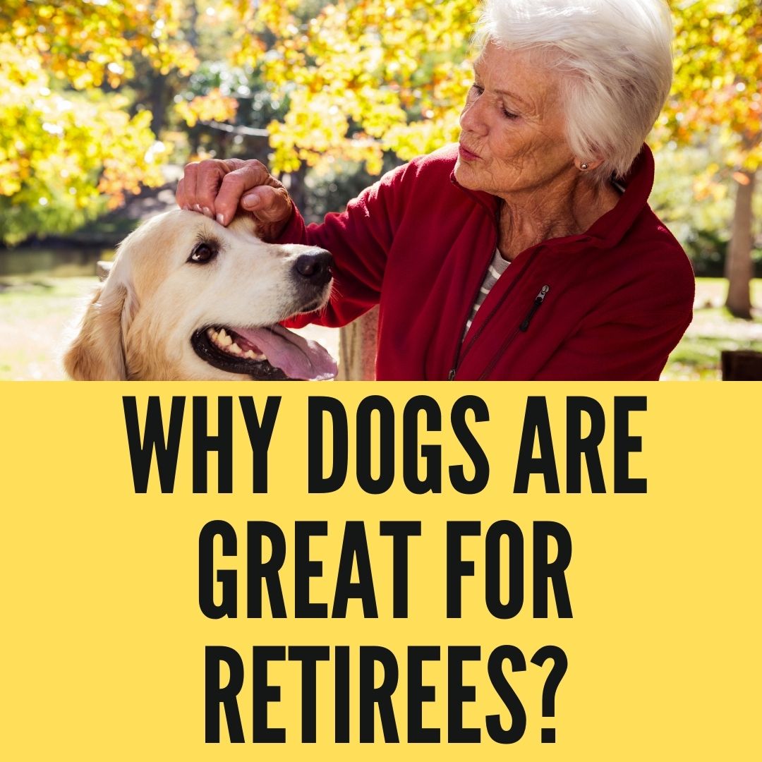 Why Dogs Are Great For Retirees? (2022 Guide) - Oxford Pets