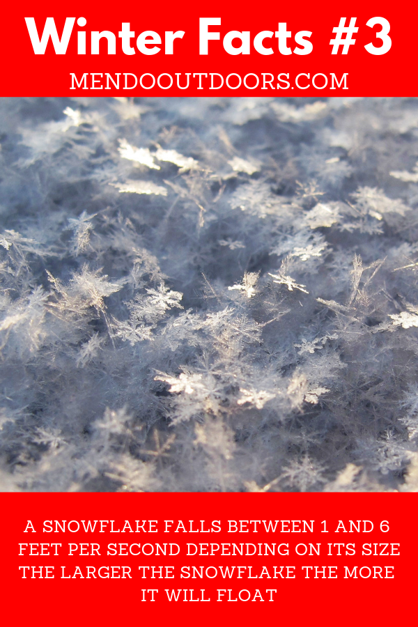 Winter facts that will blow your mind - 2025