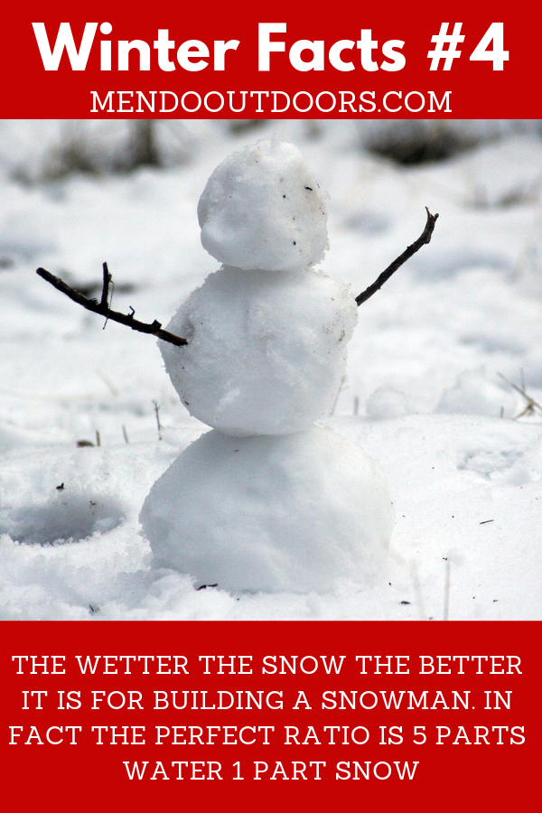 Winter facts that will blow your mind - 2025