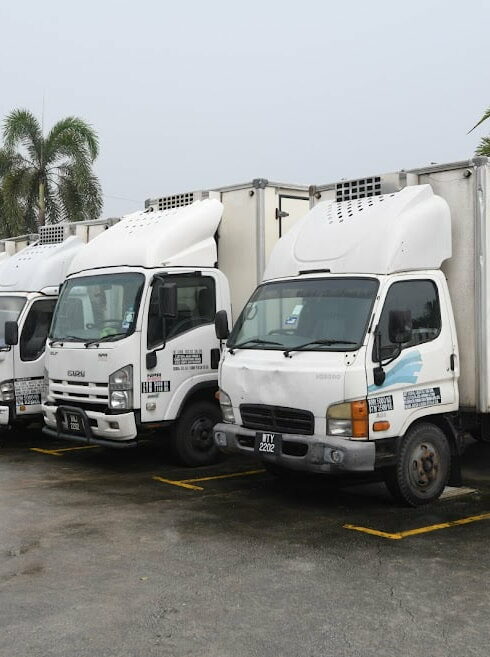 Contract Logistics - SnT Global