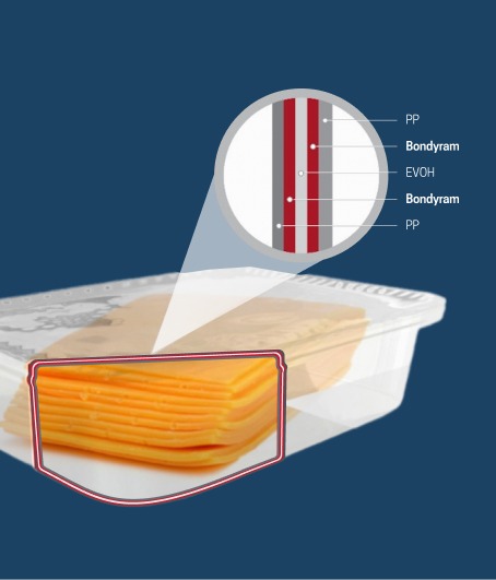 BONDYRAM® TL - Tie Layer | SPZ Polymer