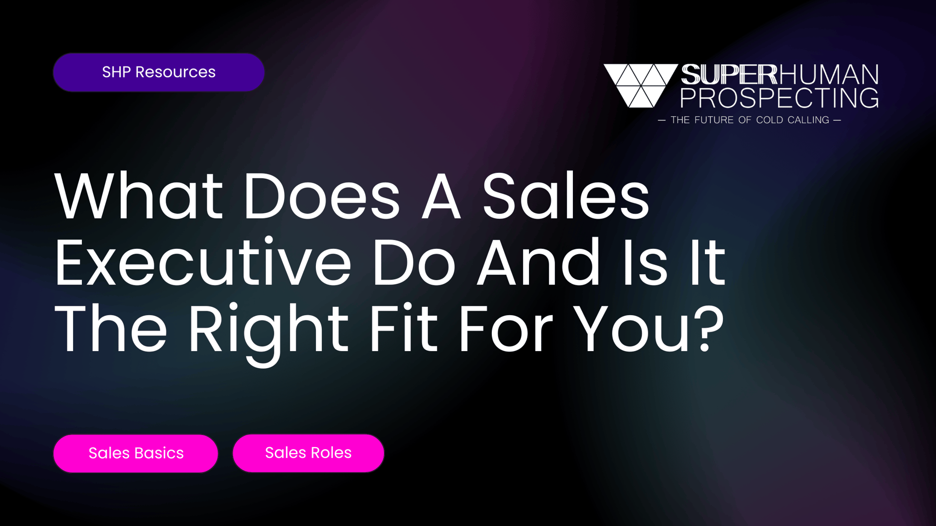Inside the Life of a Sales Executive: Glamour or Grit?