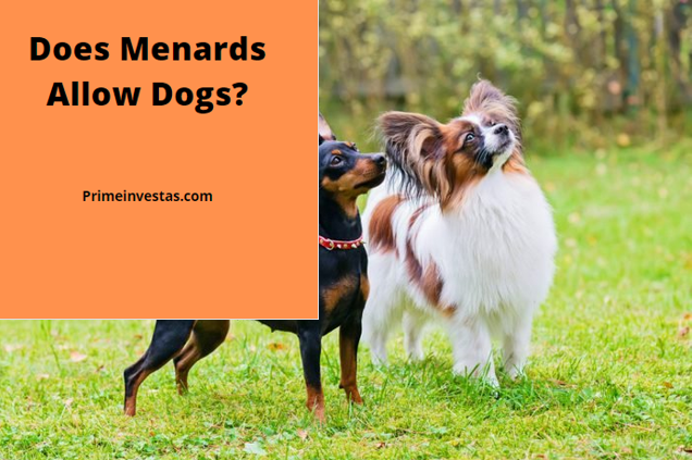 Does Menards Allow Dogs? - PrimeInvestas