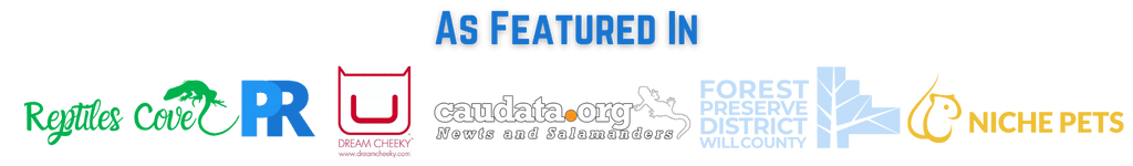 Do Salamanders Bite? Do salamanders have teeth? - Amphibian Life