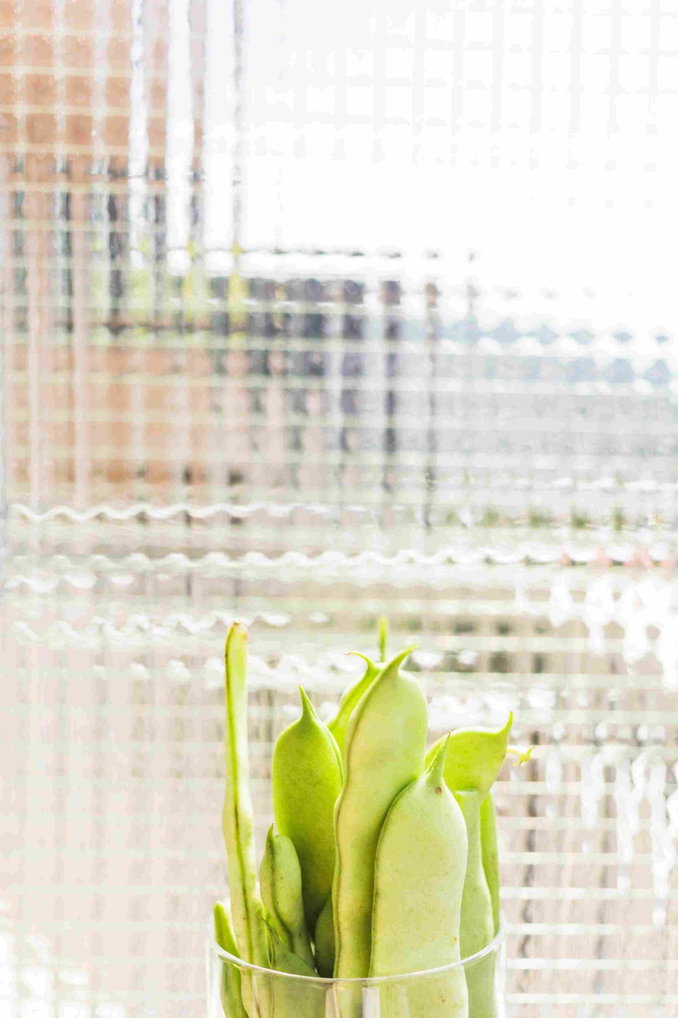 Altuglas Acrylique | Plaque PMMA Altuglas coulé