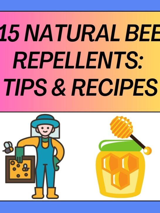 15 Natural Bee Repellents: Tips And Recipes