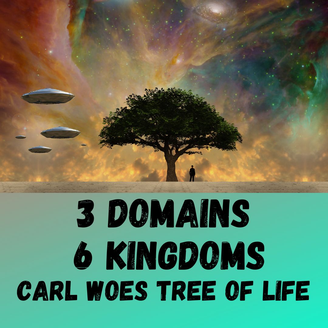 3 Domains And 6 Kingdoms Of Life [Carl Woes Theory]